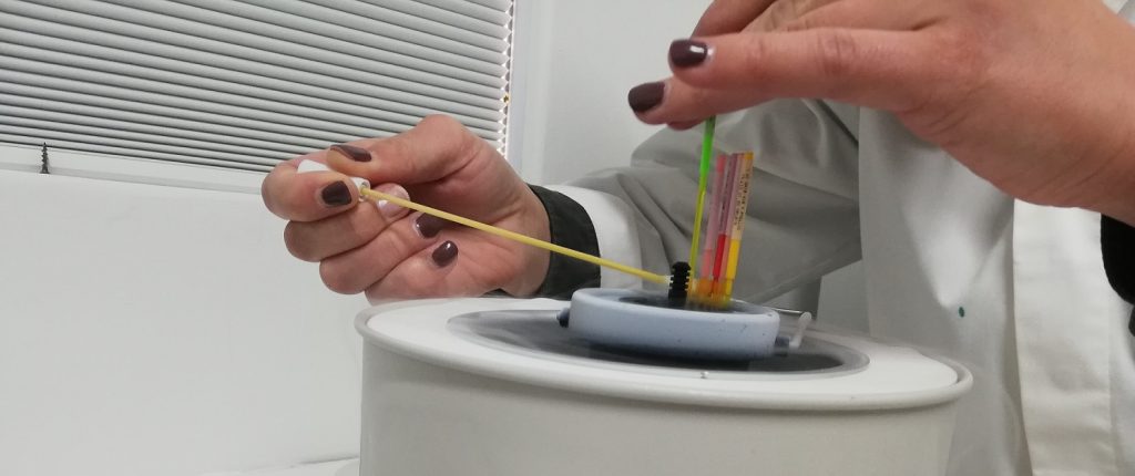 Cryopreservation – Absolute Genetics